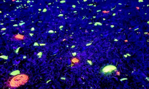 Cosmic Clays - Package Information | Minnesota Horse & Hunt Club